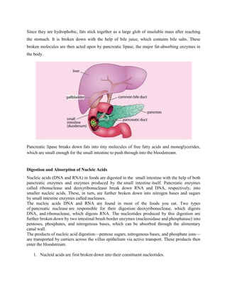 (HUMAN PHYSIOLOGY) DIGESTIVE SYSTEM.docx | Digestive Disorders ...