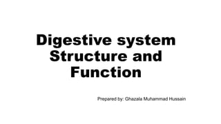 Human digestive system structure and function | PPT