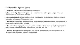 Human digestive system structure and function | PPT