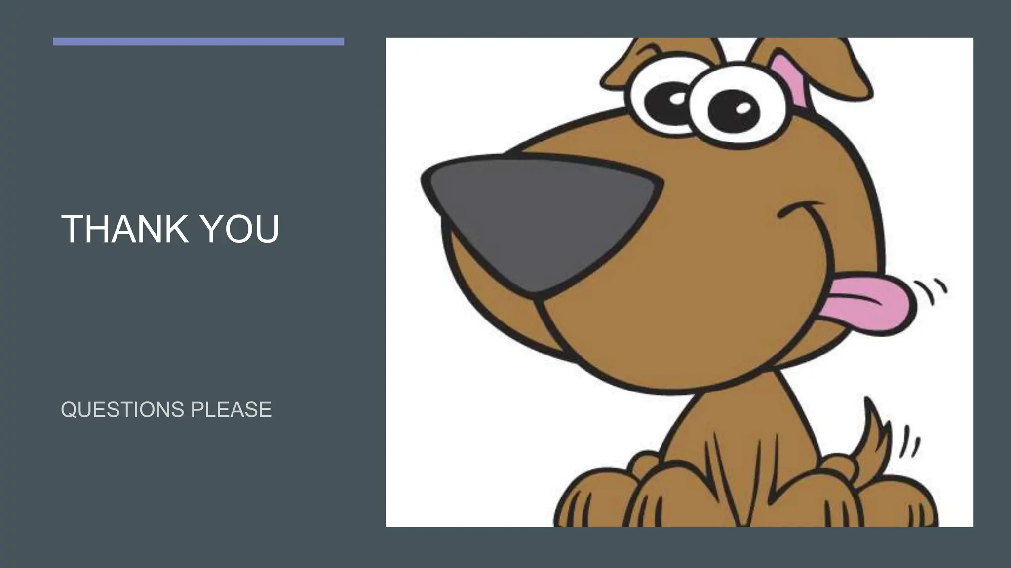 a brief introduction of digestive system in dogs | PPTX