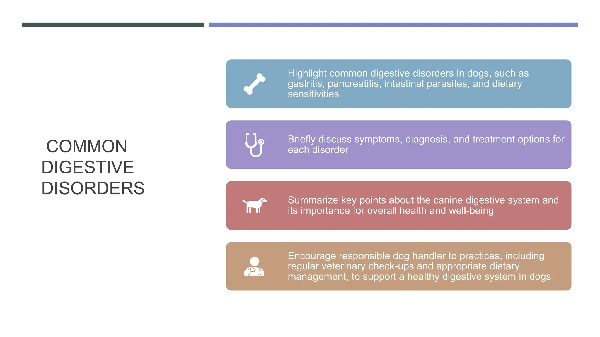 a brief introduction of digestive system in dogs | PPTX