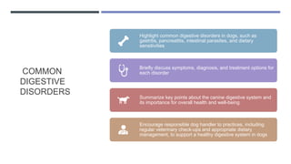 a brief introduction of digestive system in dogs | PPTX | Digestive ...