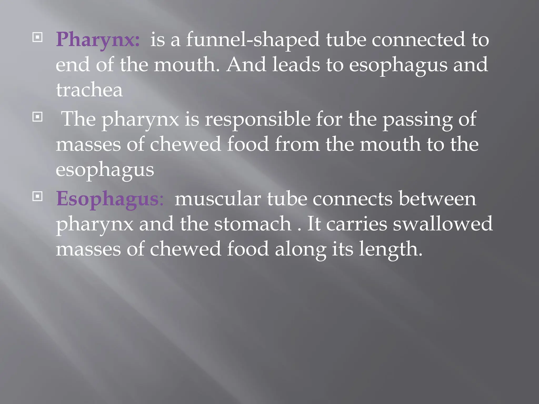 digestive system.pptx it is one of the most important systems | PPTX