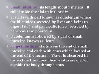 digestive system.pptx it is one of the most important systems | PPT