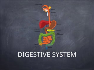 Science 6 Digestive System Powerpoint.pptx