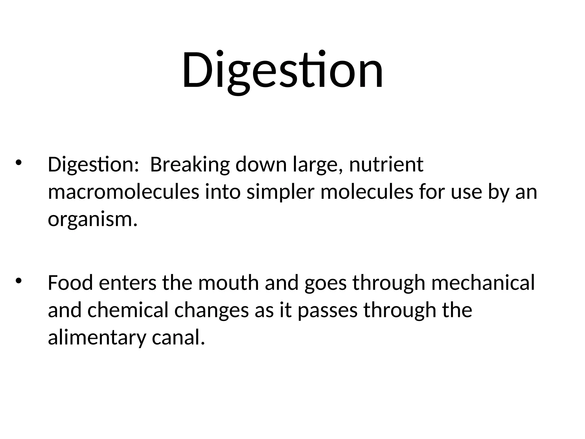 digestive system.pptx of different monogastric and ruminants | PPTX