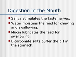 digestive system.pptx of different monogastric and ruminants | PPTX