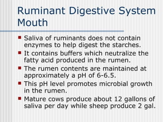 digestive system.pptx of different monogastric and ruminants | PPTX