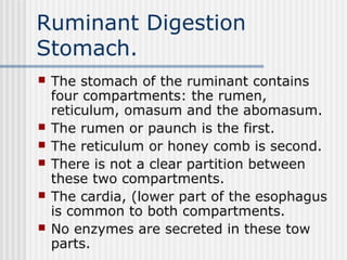 digestive system.pptx of different monogastric and ruminants | PPTX