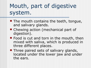 digestive system.pptx of different monogastric and ruminants | PPTX