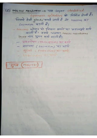 Digestive system.pdf Jitendra bhargav slideshare.com