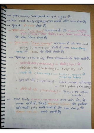 Digestive system.pdf Jitendra bhargav slideshare.com