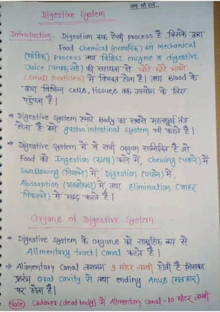 Digestive system.pdf Jitendra bhargav slideshare.com