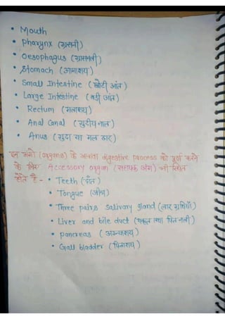 Digestive system.pdf Jitendra bhargav slideshare.com