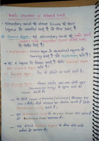 Digestive system.pdf Jitendra bhargav slideshare.com