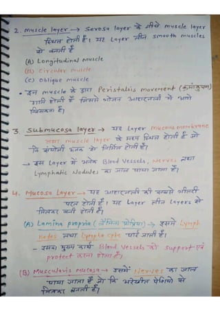Digestive system.pdf Jitendra bhargav slideshare.com
