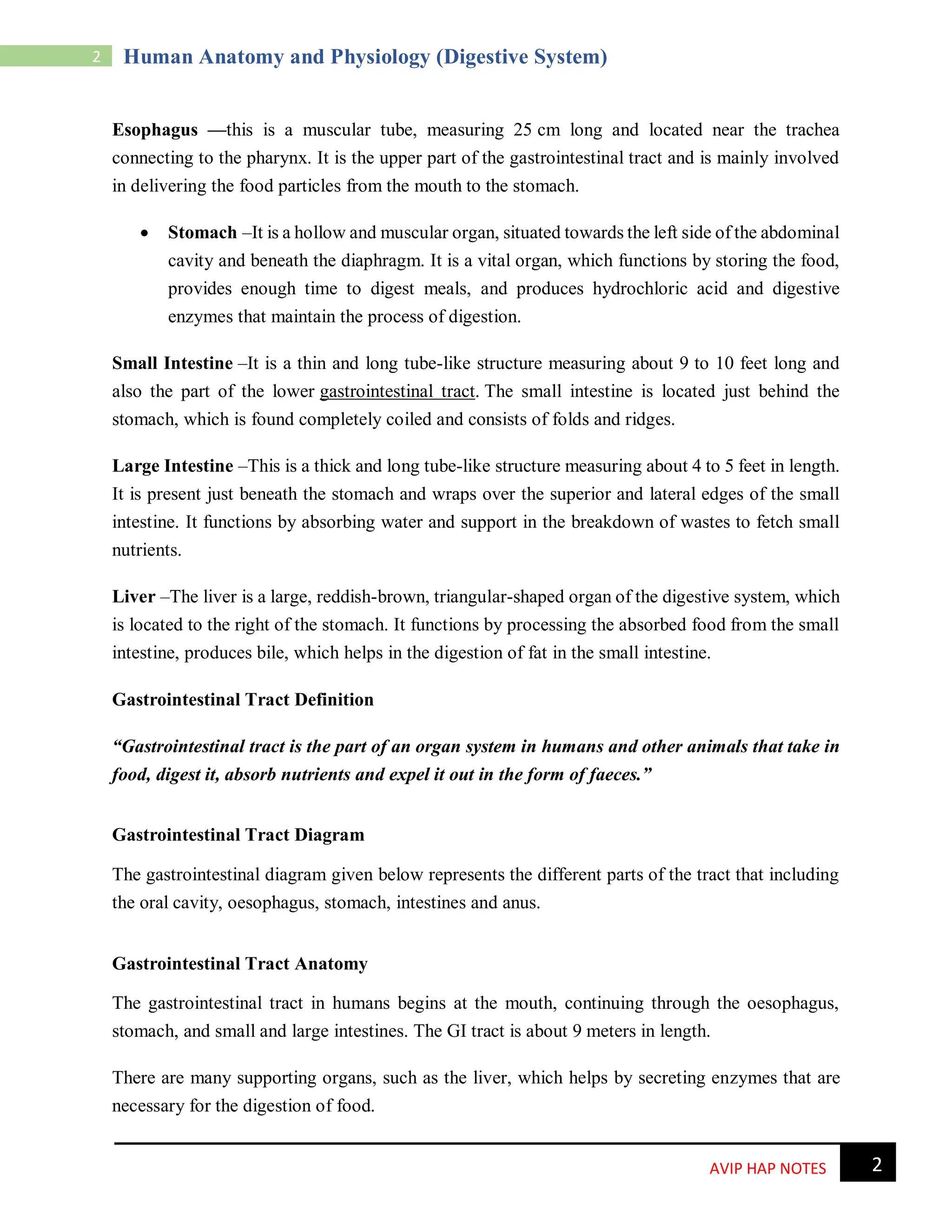 Digestive System.pdf HUMAN ANATOMY AND PHYSIOLOGY | PDF