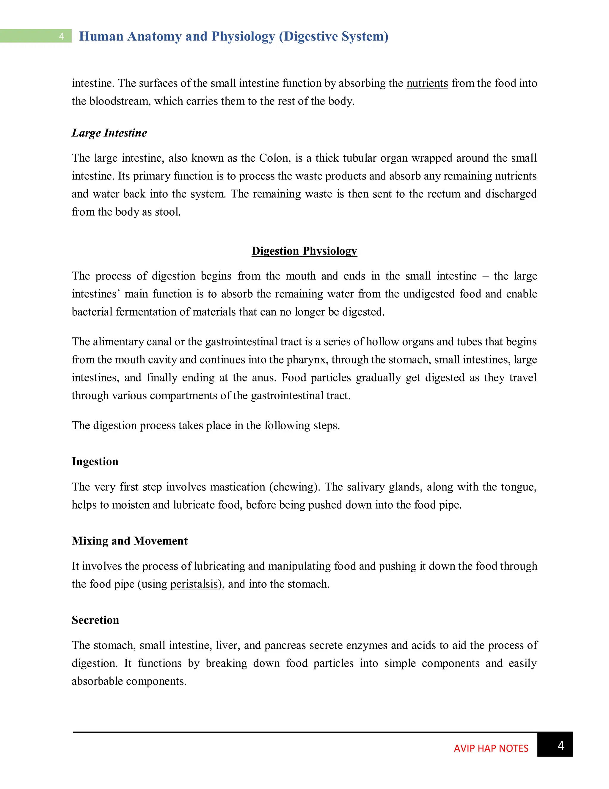 Digestive System.pdf HUMAN ANATOMY AND PHYSIOLOGY | PDF