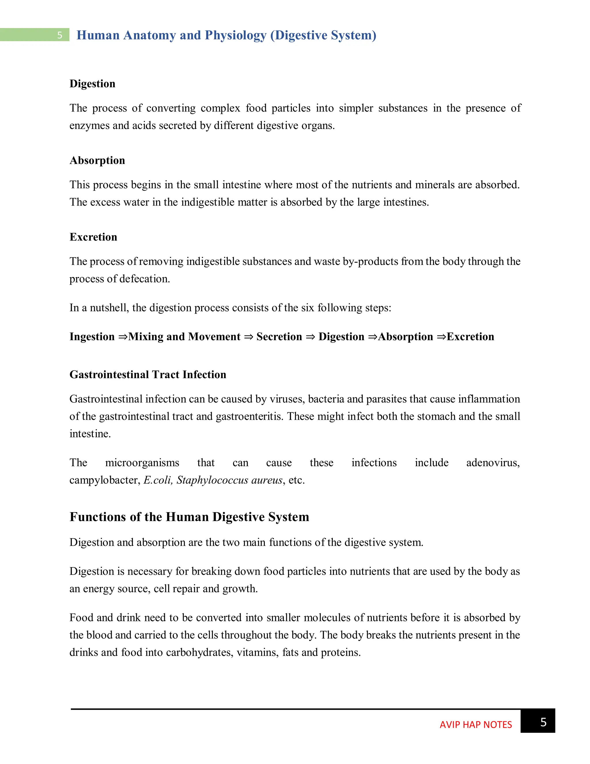 Digestive System.pdf HUMAN ANATOMY AND PHYSIOLOGY | PDF