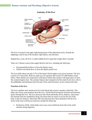 Digestive System.pdf HUMAN ANATOMY AND PHYSIOLOGY | PDF