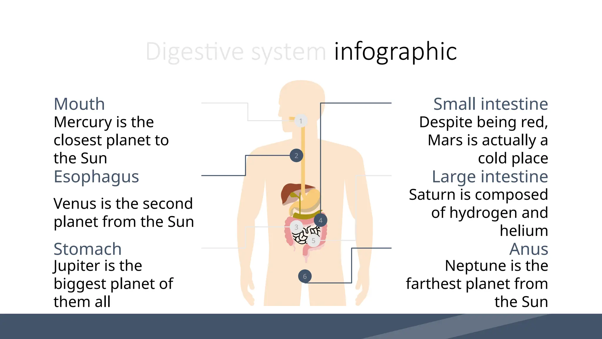 Human digestive system- how it works.pptx