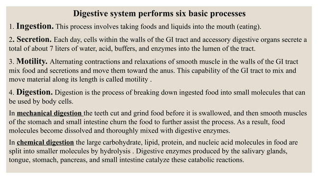 Digestive System with its layers .pptx