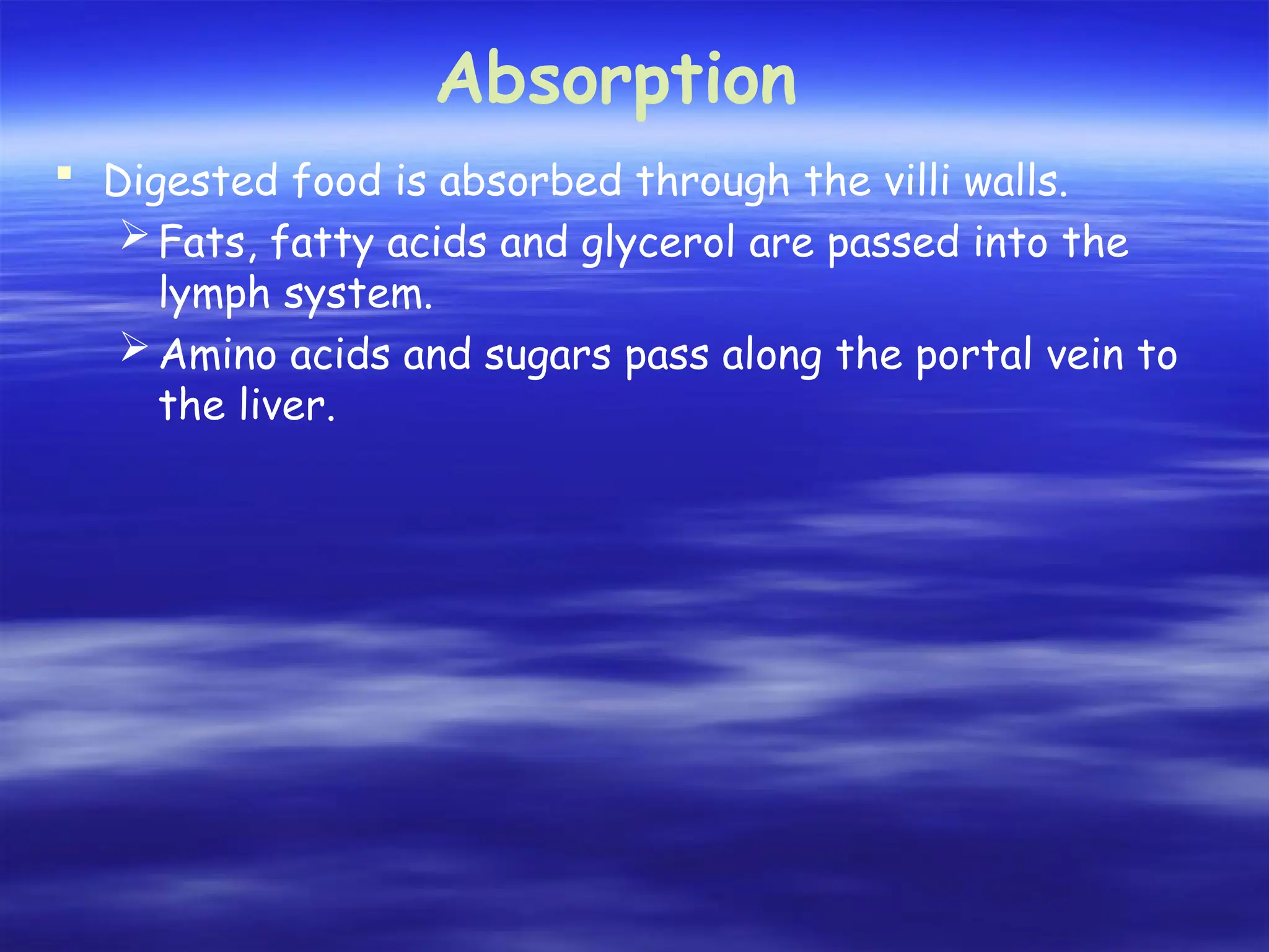 Human Digestive System ppt with full of diagram | PPT