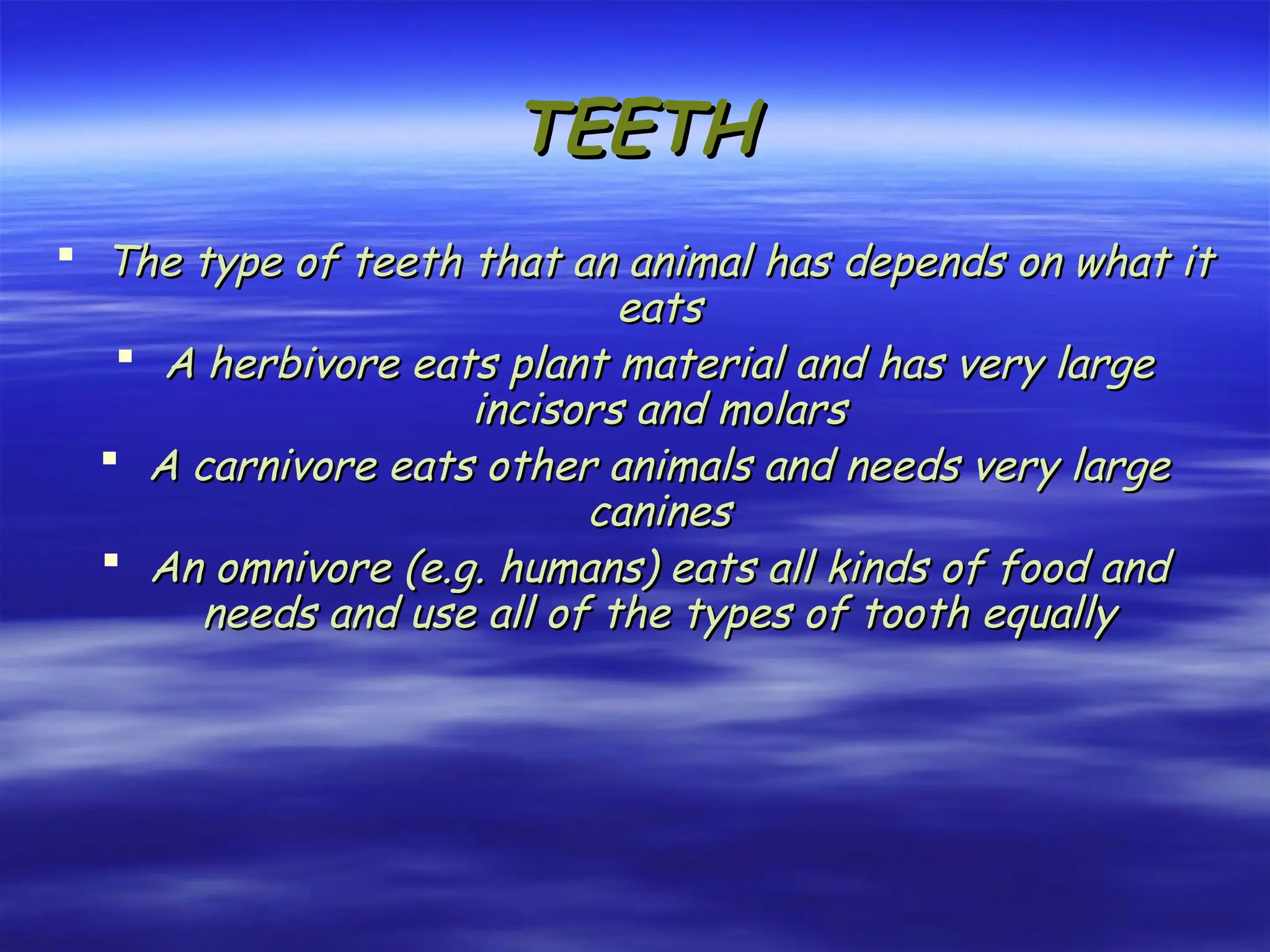Human Digestive System ppt with full of diagram | PPT