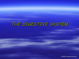 Human Digestive System ppt with full of diagram | PPT