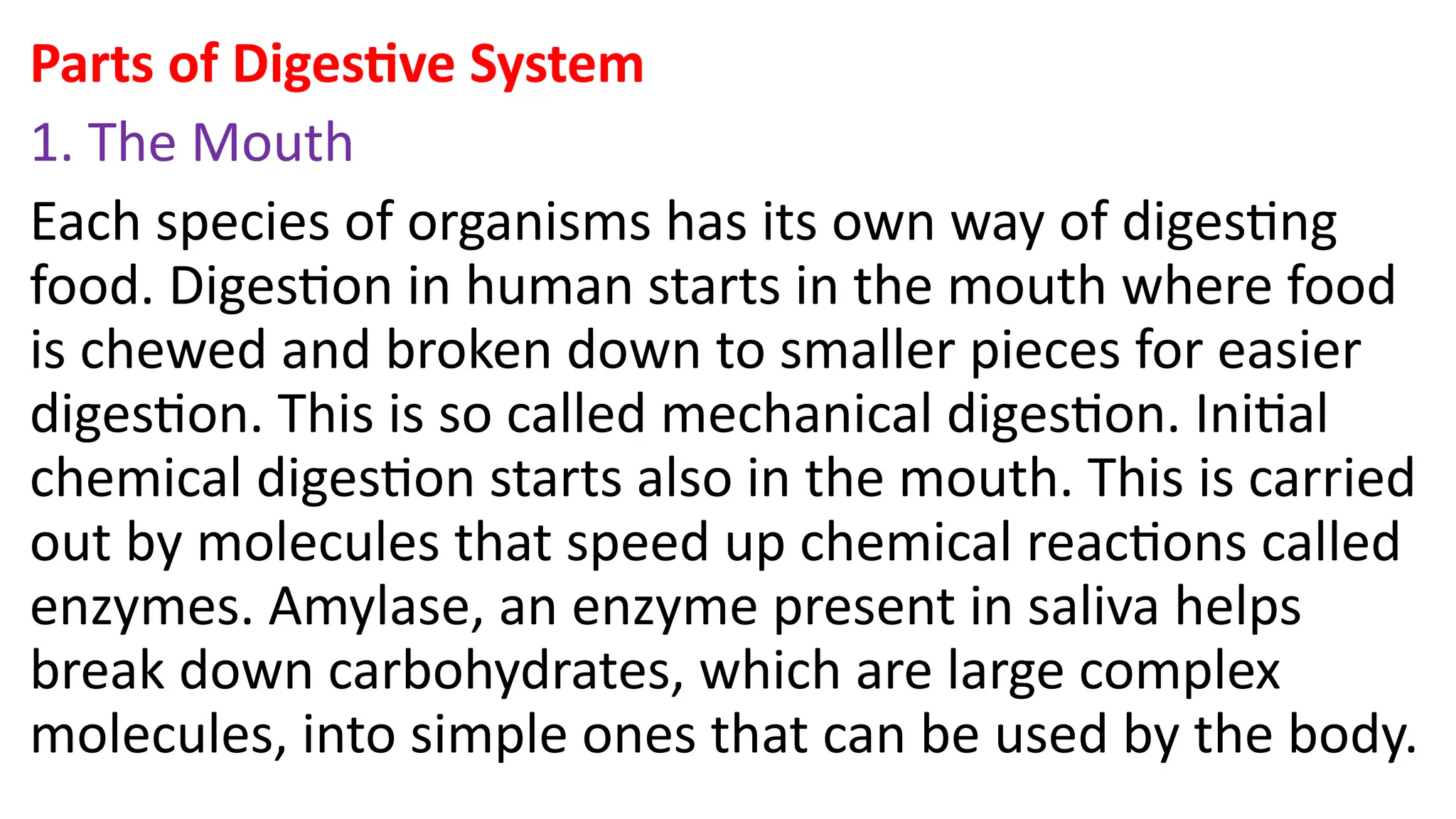 Digestive System in grade 8 students.pptx