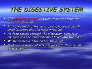Digestive SystemDigestive SystemDigestive System.ppt