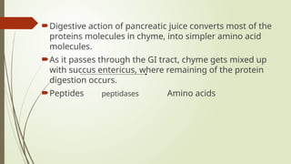 DIGESTIVE SYSTEM- generals and particulars | PPT