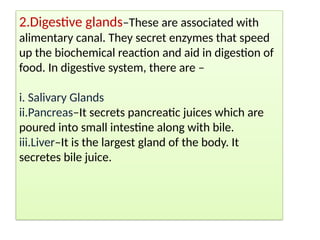 DIGESTIVE SYSTEM Of human body for class 5.pptx