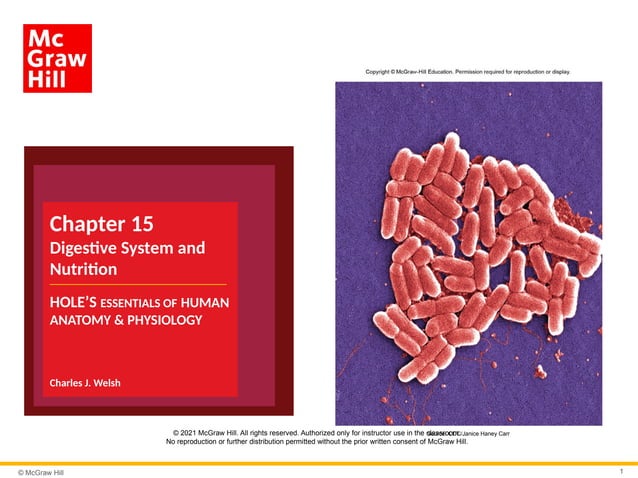 Digestive system anatomy and physiology high school | PPT