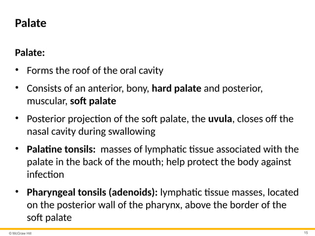 Digestive system anatomy and physiology high school | PPT