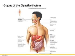 Digestive system anatomy and physiology high school | PPTX