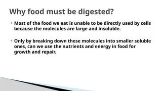 Digestive System powerpoint presentation | PPTX