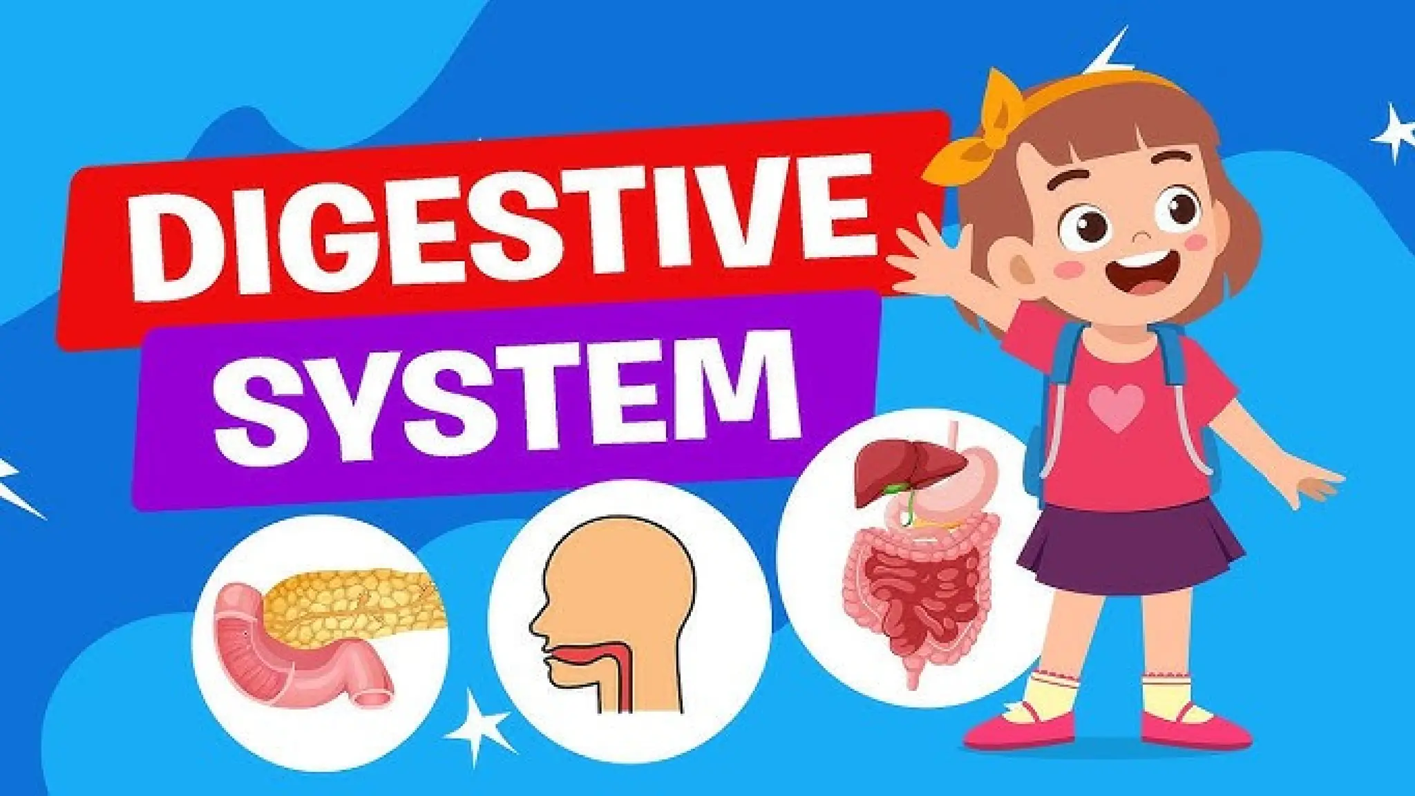 Digestive system simply explained for children with basic pathways. | PPTX