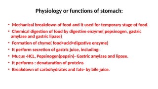 Anatomy and physiology of digestive system.pptx