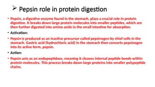 Anatomy and physiology of digestive system.pptx