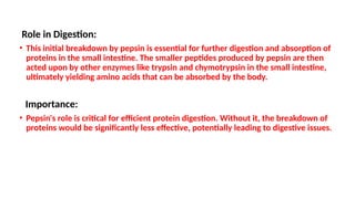 Anatomy and physiology of digestive system.pptx