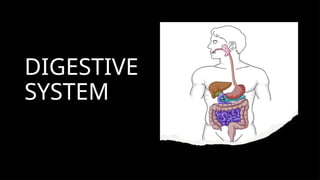 A powerpoint presentation on DIGESTIVE SYSTEM.pptx
