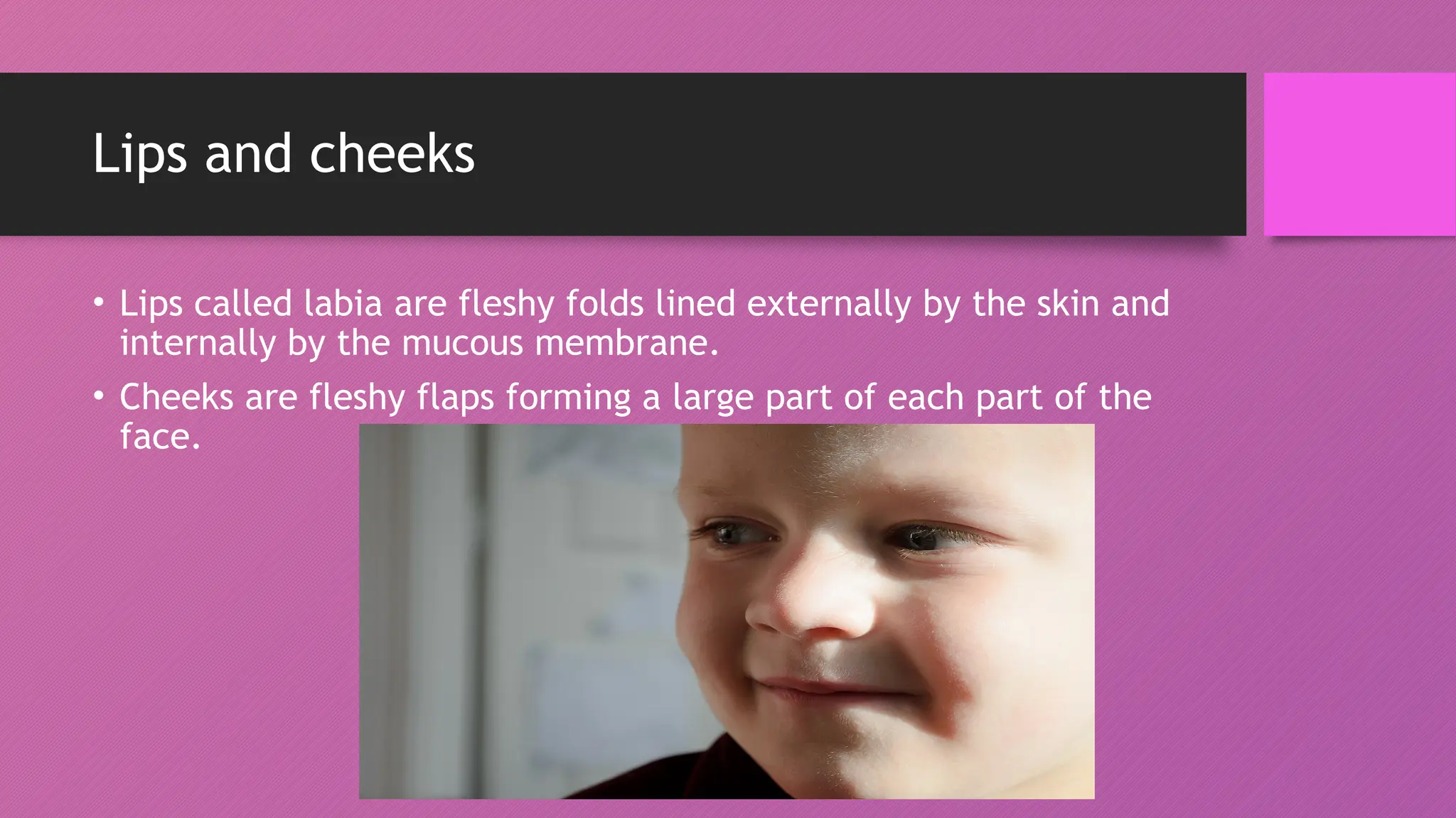 Introduction of Digestive system part -1 | PPTX