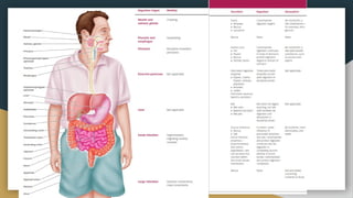Rangkuman Lengkap Fisiologi dan Histologi Sistem Digestif | PPTX