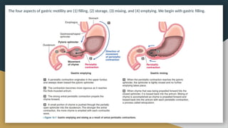 Rangkuman Lengkap Fisiologi dan Histologi Sistem Digestif | PPTX