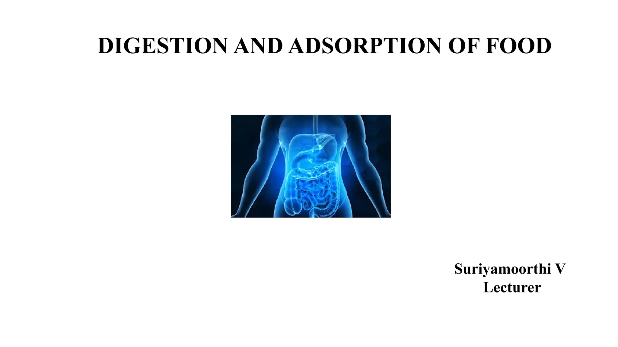 Digestive System of human body which help to digest food | PPTX