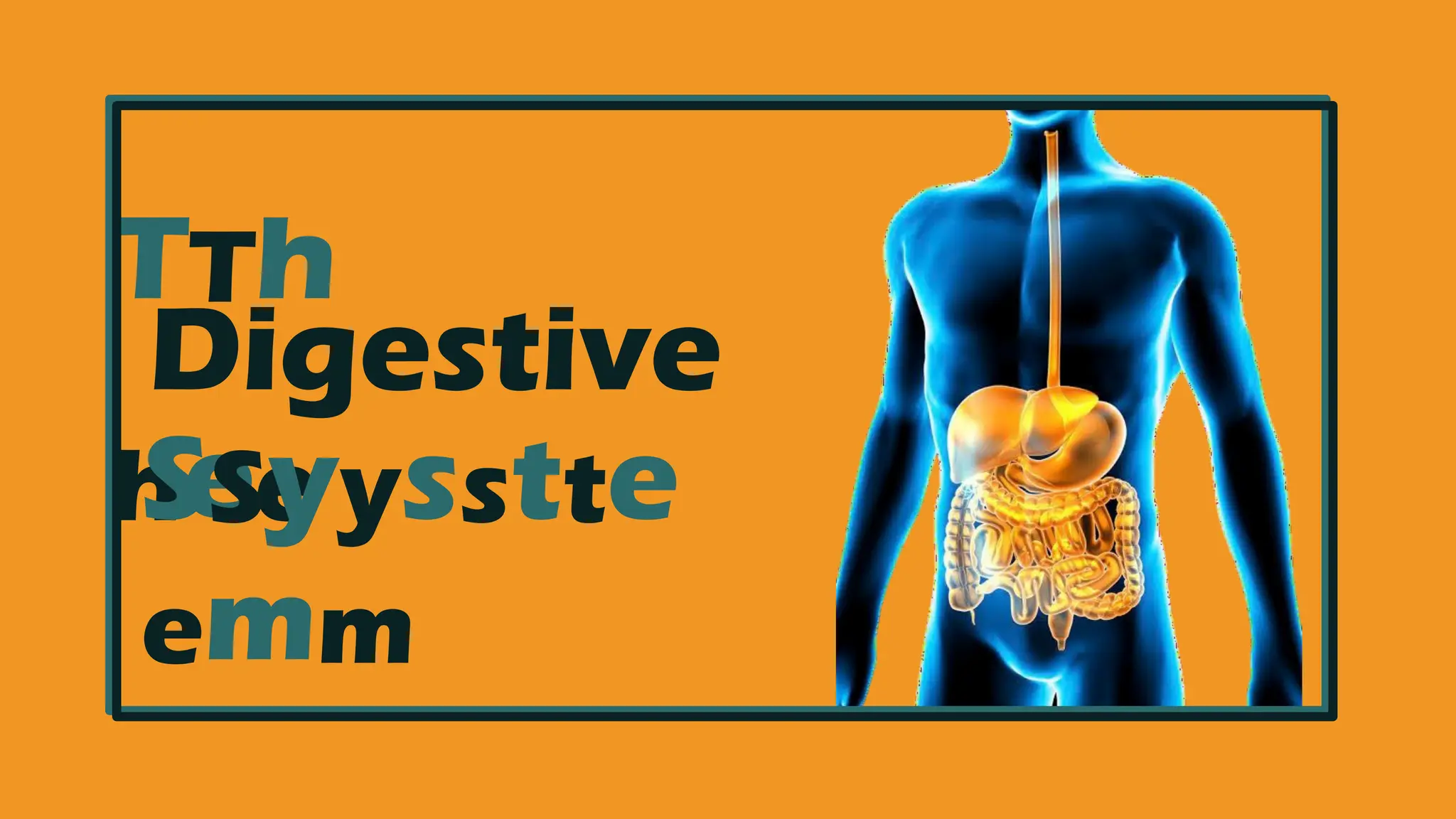 Digestive System science grade 7 xxxxxxx | PPTX