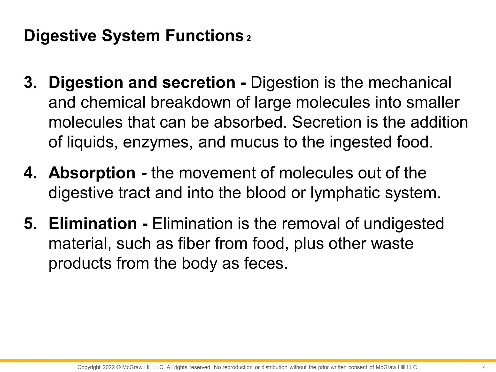 Seeley’s Anatomy and Physiology - Digestive system | PDF