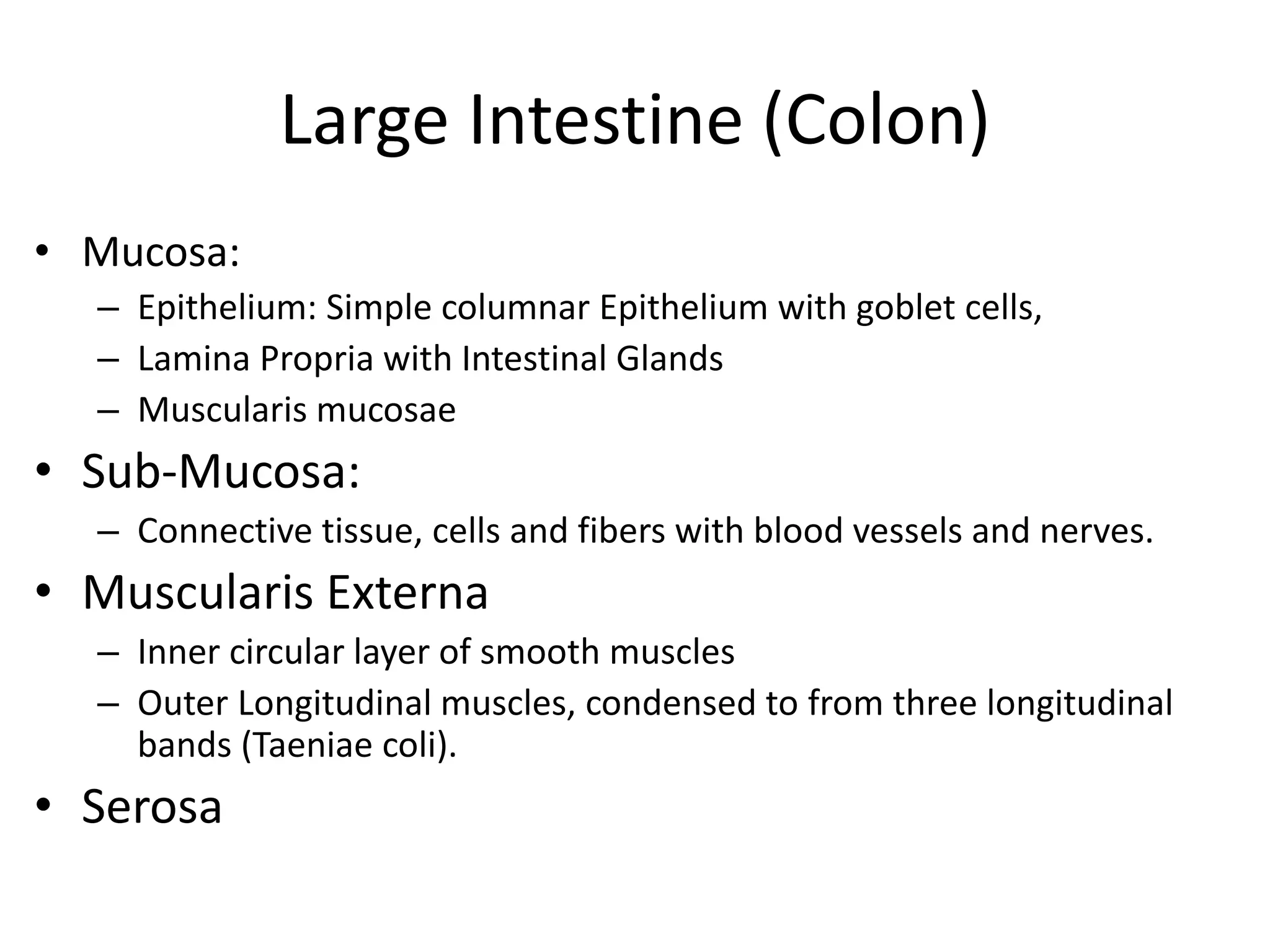 histology of Digestive system 3 | PDF