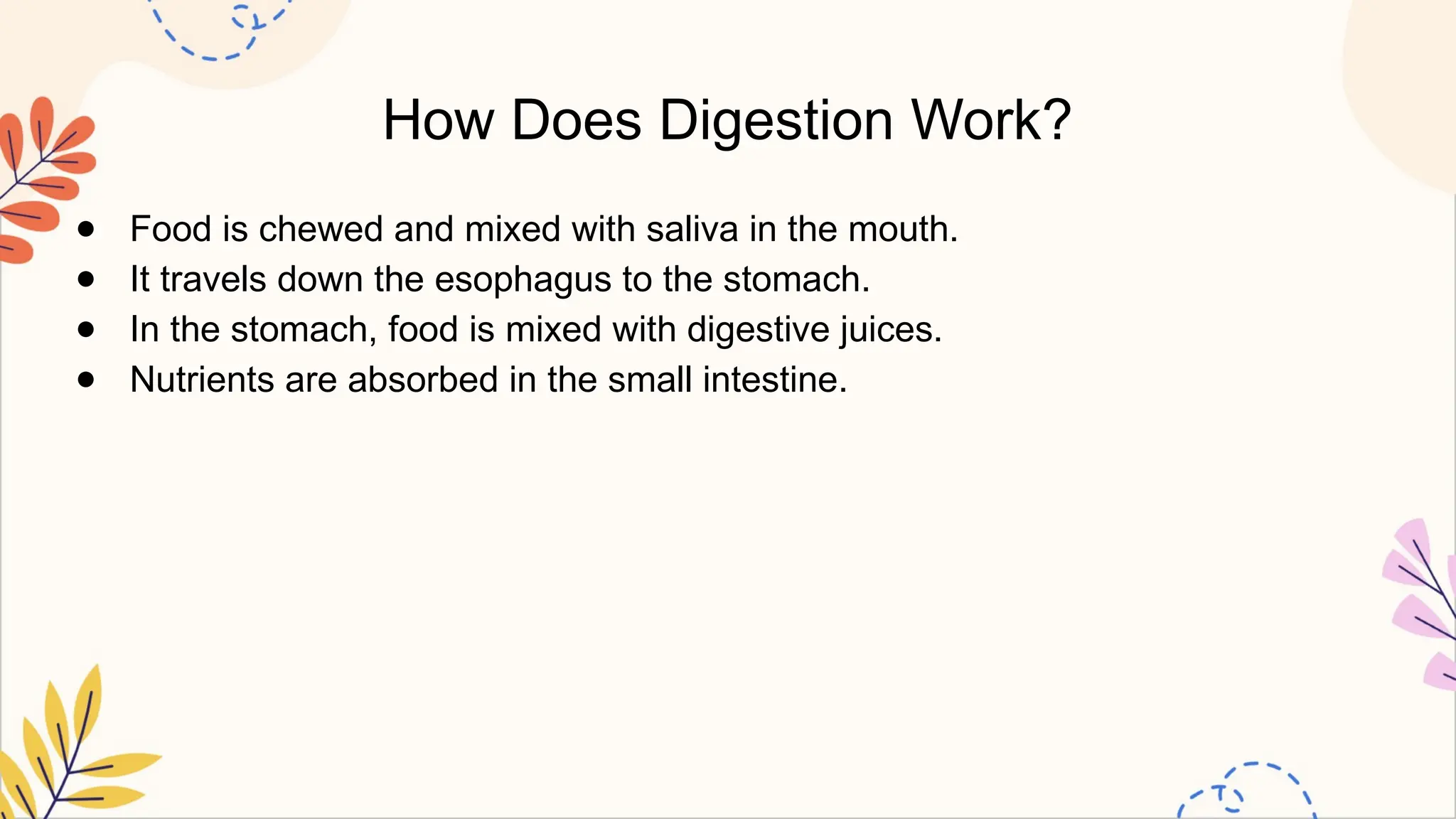 Digestive System - 6th grade........pptx